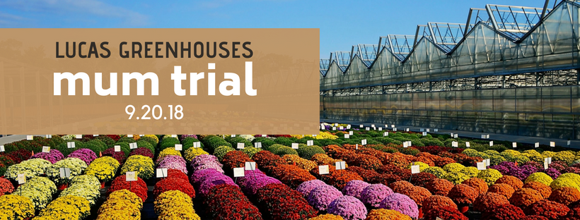 Finish » Lucas Fall Trials - September 20th